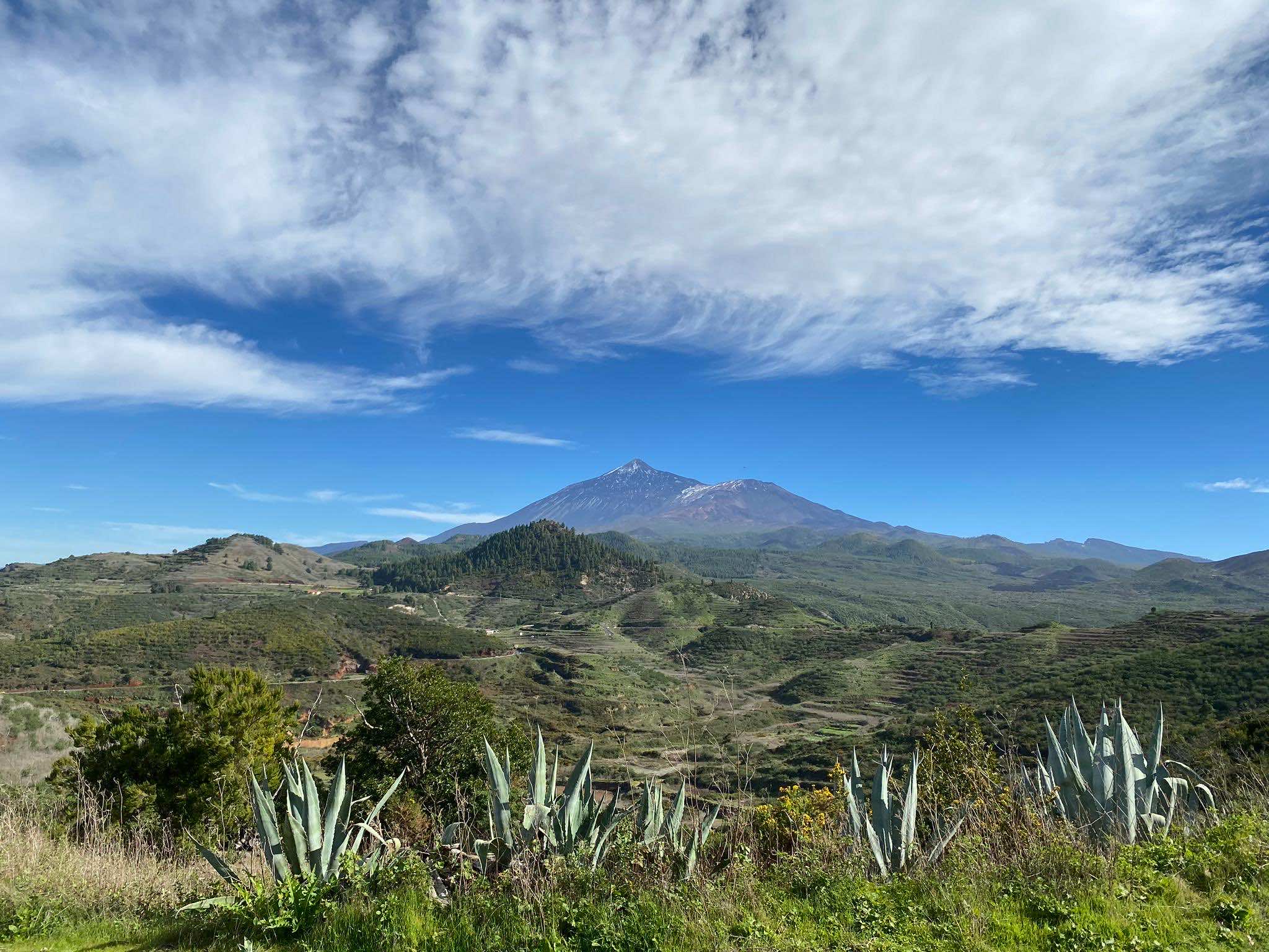 On the summits of Teno - Sergio Walking Tours - Tu guía profesional